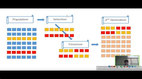 เขียน Genetic Algorithm ด้วย Visual Basic บน Excel ส่วนที่ 0 บรรยาย