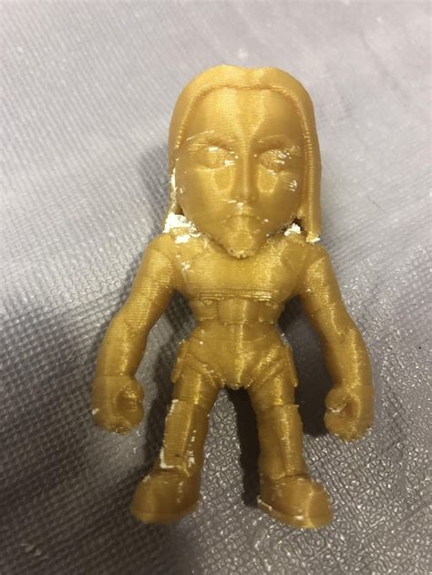 I Ordered A 3d Printed Figure Of Shelly From My Local Public Library And Heres How It Turned