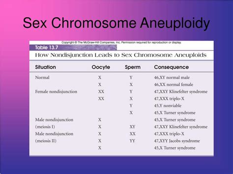 Ppt Chromosomes Powerpoint Presentation Free Download Id 1780826