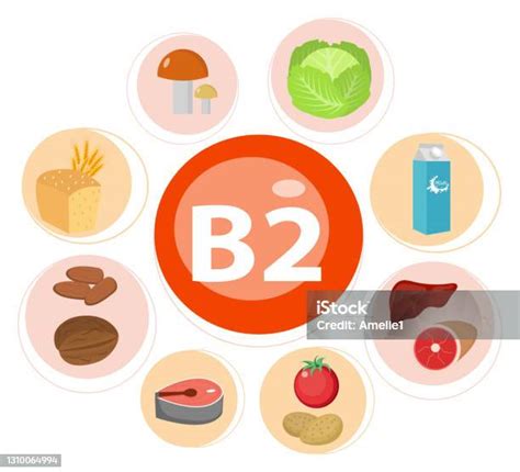 비타민과 미네랄 식품 일러스트레이터 세트 7벡터 비타민 이 풍부한 식품 세트 비타민 B2 우유 계란 시금치 굴 치즈 간 버섯 및 브로콜리 0명에 대한 스톡 벡터 아트 및