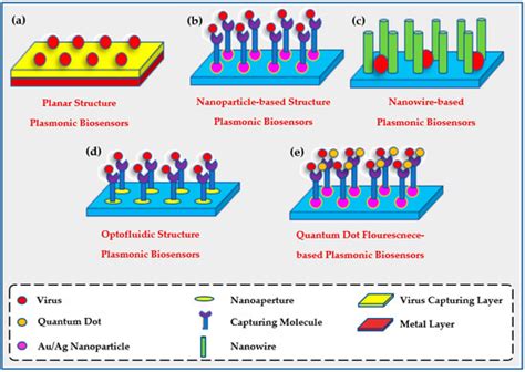 Plasmonic Biosensors Review