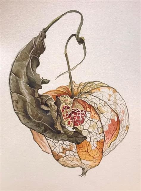 Quink Ink And Mapping Pen Artofit