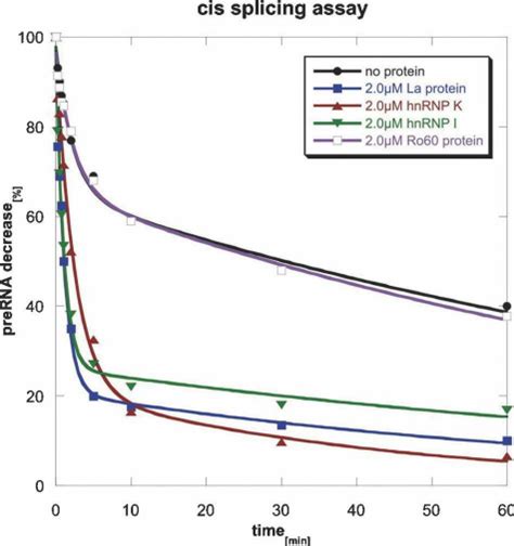 La Hnrnp K And Hnrnp I Increase Splicing In A Cis Splicing Assay In