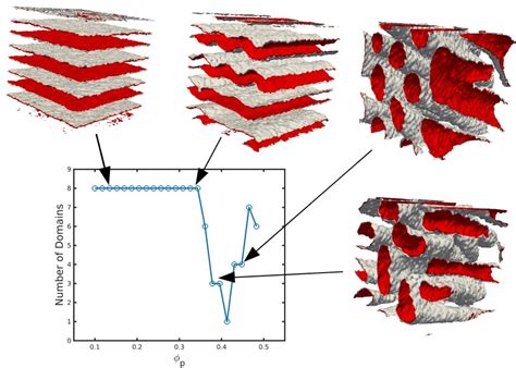 Transition In A Symmetric Diblock Copolymer Mixture F 0 12 Induced Download Scientific