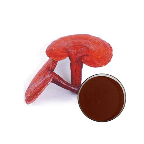 Ganoderma Lucidum Powder Reishi Mushroom Extract Ganoderma Spore Powder Reishi Mushroom