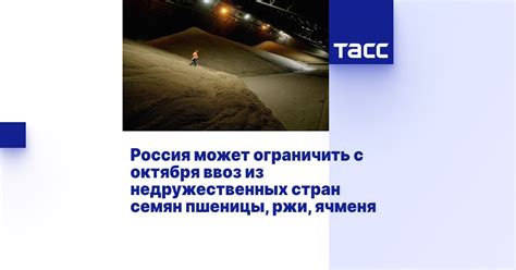 Россия может ограничить с октября ввоз из недружественных стран семян пшеницы ржи ячменя