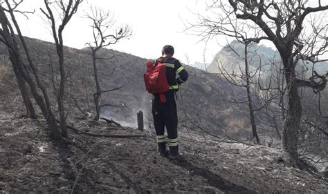 ვაშლოვანის ნაკრძალის ტერიტორიაზე ხანძარია 1tv