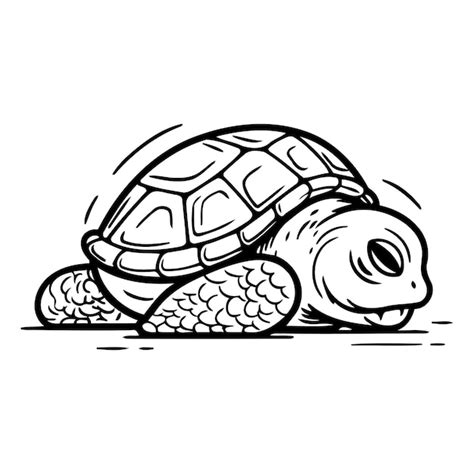 색 배경에 고립된 거북이 만화 터 일러스트레이션 프리미엄 벡터