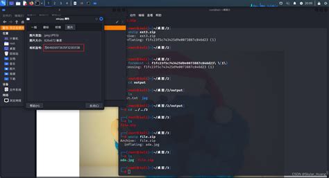 隐秘信息挑战 Csdn博客