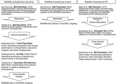 Development Of The Enhancing Neuroimaging Genetics Through Download Scientific Diagram