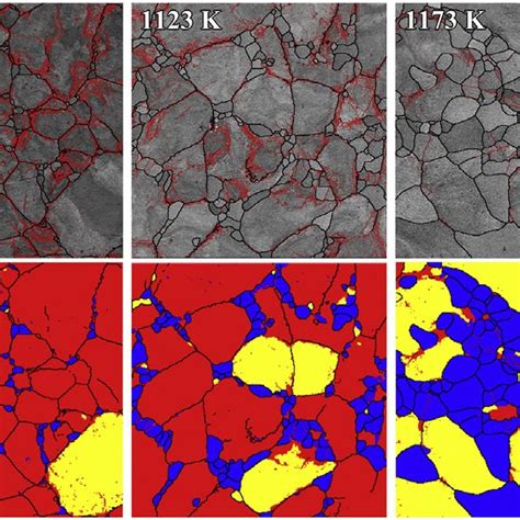 Ebsd Maps Of Microstructure After Single Pass Compression And Holding