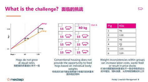 睿保乐张列：关注育肥猪增重管理非常重要！农牧前沿
