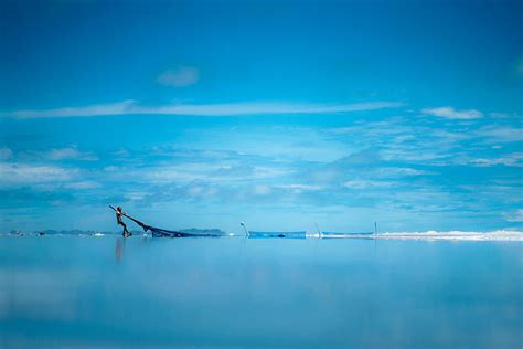 Untitled Photograph By Rakibul Alam Khan Fine Art America