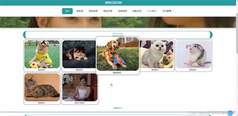 【开题报告】ssm宠物交流互助95mv4计算机毕业设计程序 csdn博客