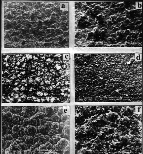 Typical Sem Micrographs Of The Nickel Electrodeposits Obtained In The