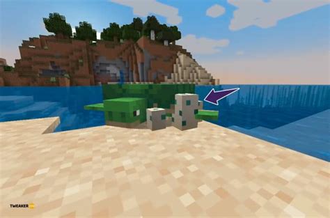 How Long Do Turtle Eggs Take To Hatch In Minecraft Java And Bedrock Complete Guide Tweakerzone