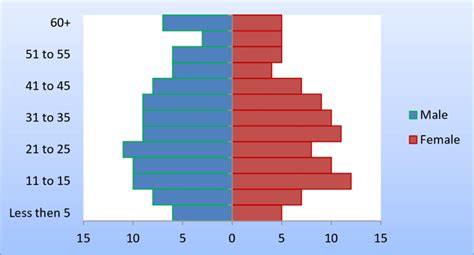 Age Sex Pyramid Of The Study Area Source Household Survey Download Scientific Diagram