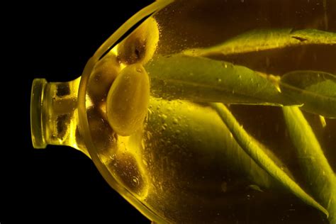 Edible Oil Quality Analysis Maven Research