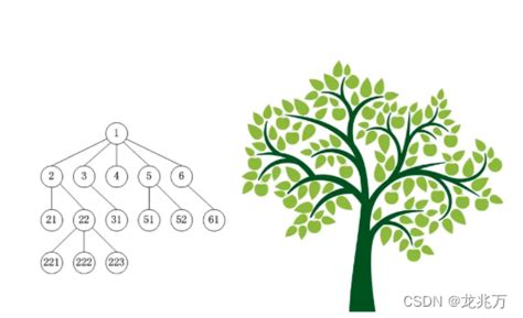 C语言描述数据结构 —— 二叉树1完全二叉树c实现完全二叉树 Csdn博客 C语言描述数据结构 —— 二叉树1完全二叉树c实现完全二叉树 Csdn博客