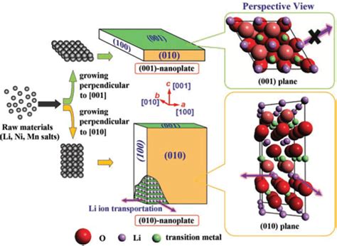 Schematic Illustration Of Two Kinds Of Nanoplates And The Download Scientific Diagram