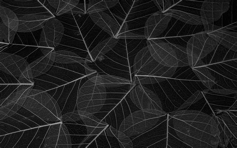 Dfs Algorithm Exploring Graph Traversal