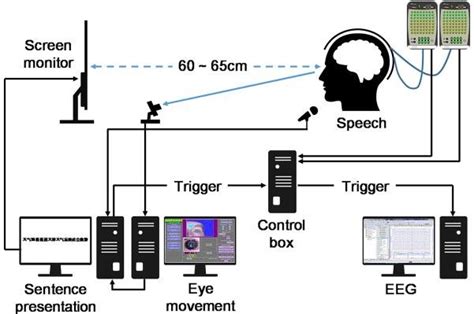 Schematic Diagram Of Multimodal Acquisition For Eeg Eye Movement And Download Scientific