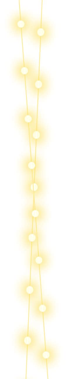 Safely Hanging Christmas Lights With A Mewp Haulotte Blog
