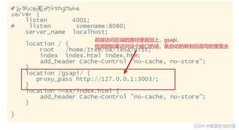 nginx 代理后端的访问地址 nginx代理网址 csdn博客