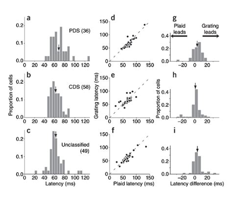 Dynamics Of Motion Signaling By Neurons In Macaque Area Mt Nature Neuroscience