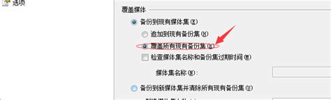 sqlsever备份还原和导入导出方法 wangwangwangMax 博客园