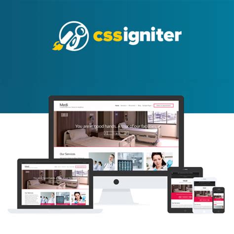 CSS Igniter Medi WordPress Theme WP Starter Pack