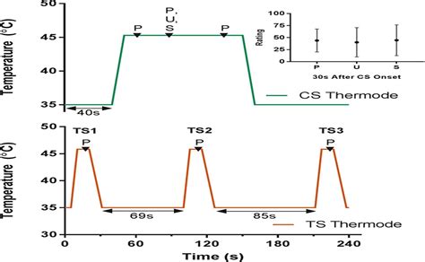 Individual Variability And Sex Differences In Conditioned Pa Pain