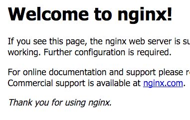Install Nginx And Php In Docker Ubuntu Container InfoHeap