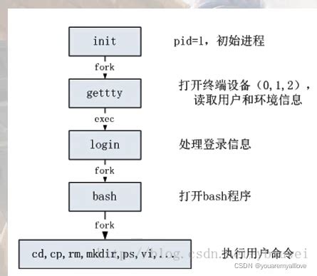 Linux C Pts Pts Bash She