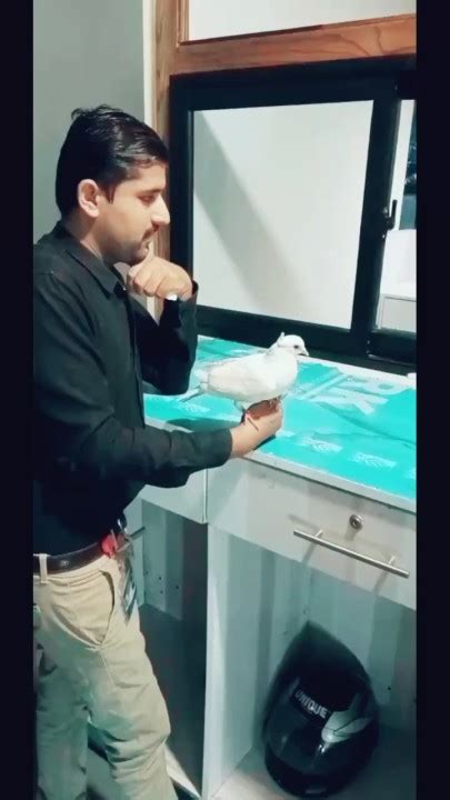 Muhammad Furqan Posted On Linkedin