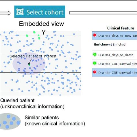 Overview Of Data Processing And Analysis Download Scientific Diagram