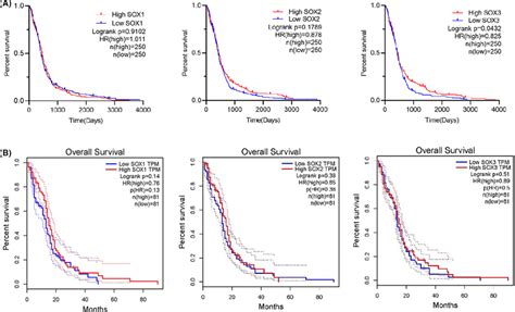 the prognostic value of mrna level of sox b1 factors in gbm