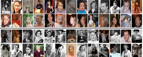 Qualitative Results Of Our Method On Chalearn Lap Challenge The Top Download Scientific