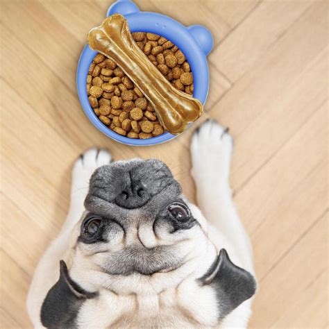 Badu Bg Купички за кучешка храна Купа за бавно ядене Кучешка купа с кръгла форма Бавна хранилка