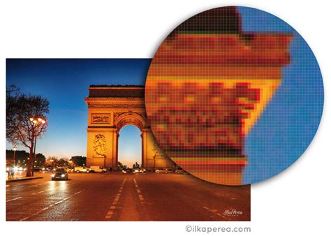 Bitmap Vs Vector Images Which Is Better For Graphic Design