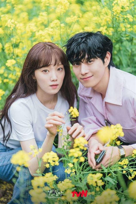 Shooting Stars 2022 별똥별 Artofit