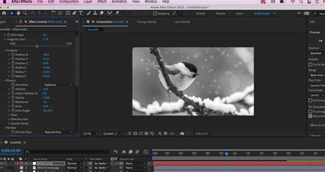 How To Animate Snow With Adobe After Effects