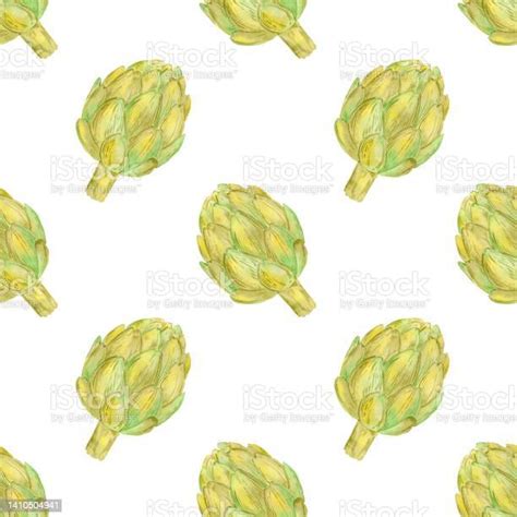 아티 초크 식물 흰색 배경에 고립 된 원활한 패턴 일러스트레이션 수채화 꽃 식물 그림 0명에 대한 스톡 벡터 아트 및 기타