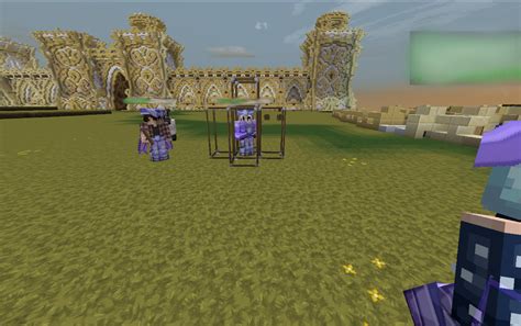 Messing Around With Afk Player R Minecraft