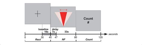 protocol design for the heu experiment download scientific diagram