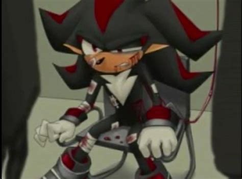 Shadow Shadow The Hedgehog Photo 35093501 Fanpop