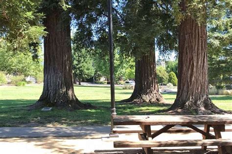 6 Best Napa Valley Picnic Spots Where To Unwind In Californias Wine
