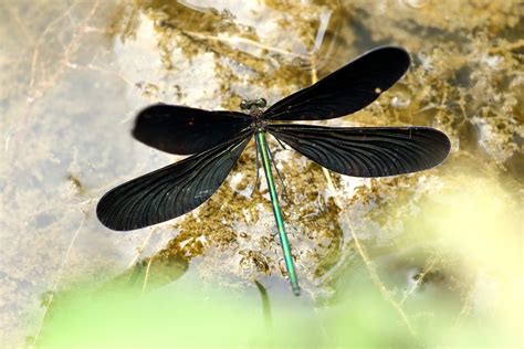 이미지 공유 마당