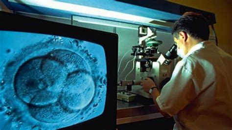 Главното мюфтийство за ин витрото Жената не може да се дава под наем като кола Новини бг