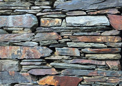 Pedding Bilder Durchsuchen 15267 Archivfotos Vektorgrafiken Und